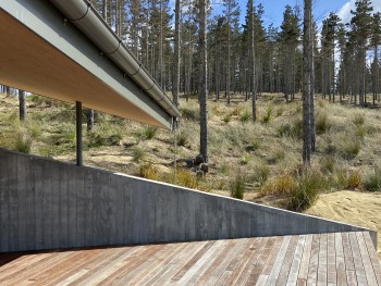 te arai beach house | Andrew Meiring Architects